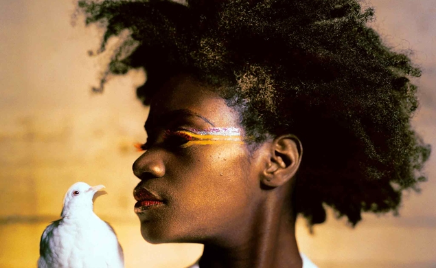 Through A Lens Darkly: Black Photographers And The Emergence Of A ...