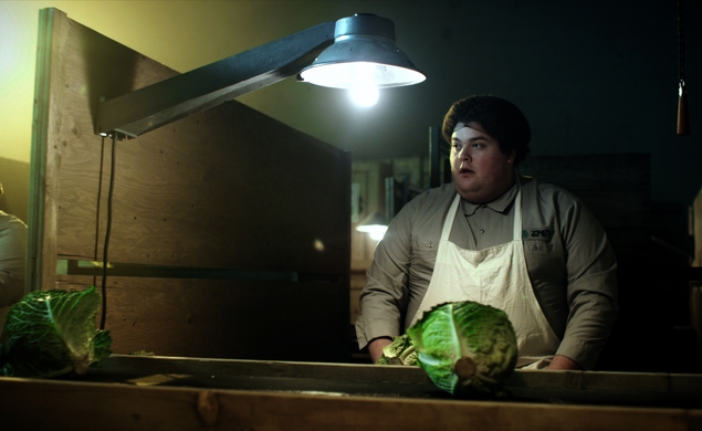 Patch Town / The Dissolve