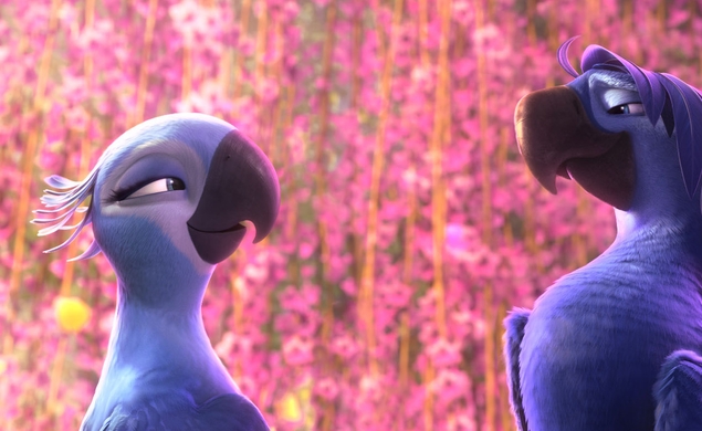 Rio 2 / The Dissolve